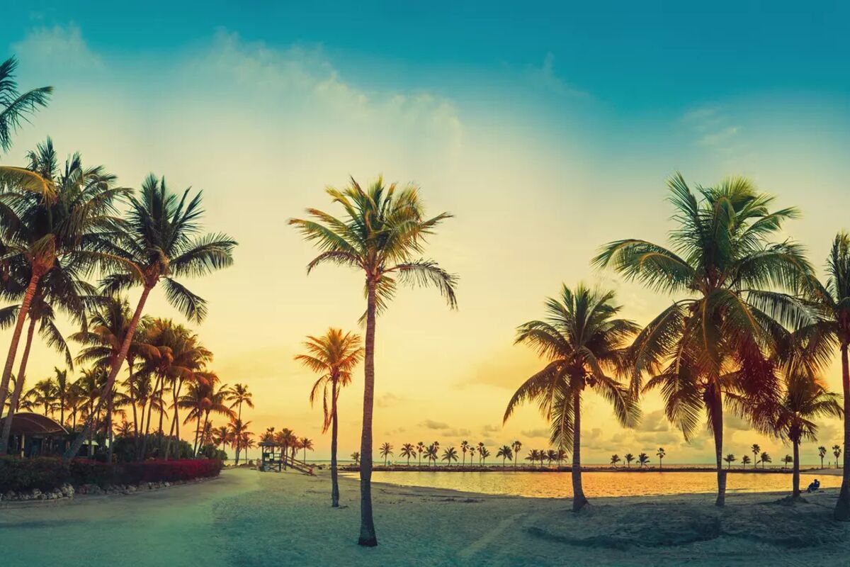 Flyreiser til Miami - Reiseguiden