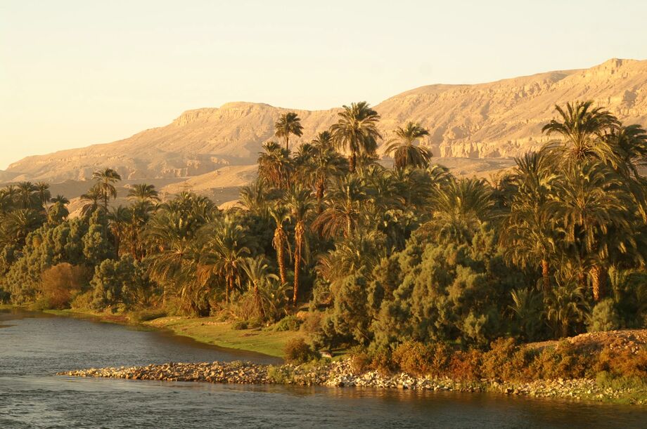 Naturen runt Nilen - Egypt - Rommetorp - Reiseguiden