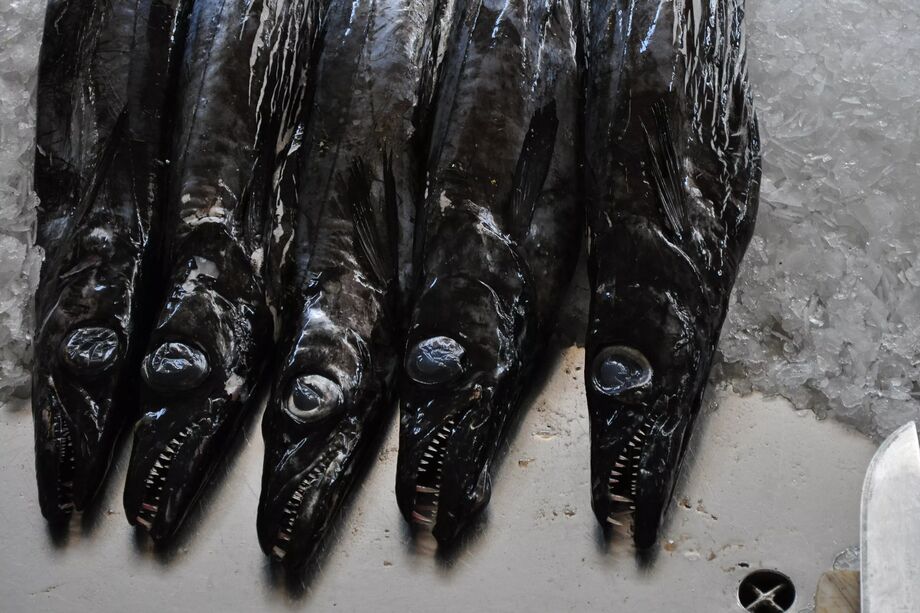 Fula fiskar (Espada) - Funchal, Madeira, Portugal - Karinlorvik ...