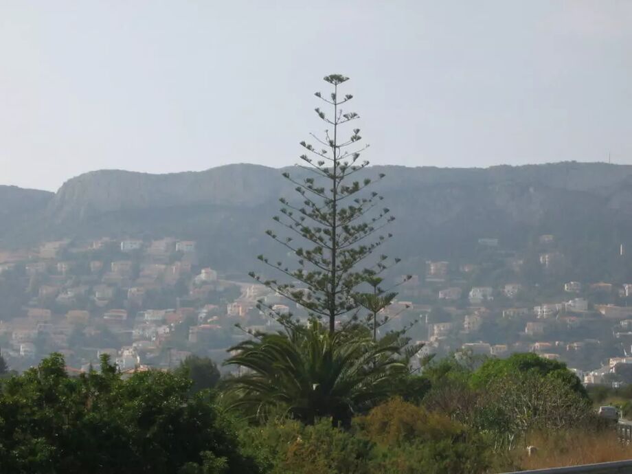 Vi bilade norrut från Alicante mot Calpe - Calpe, Costa Blanca, Spania ...