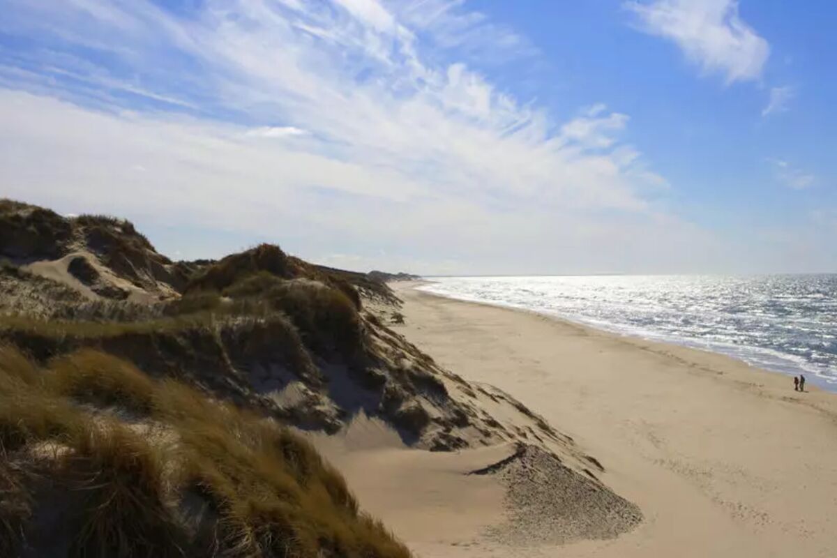 Skandinavias beste strender - Reiseguiden