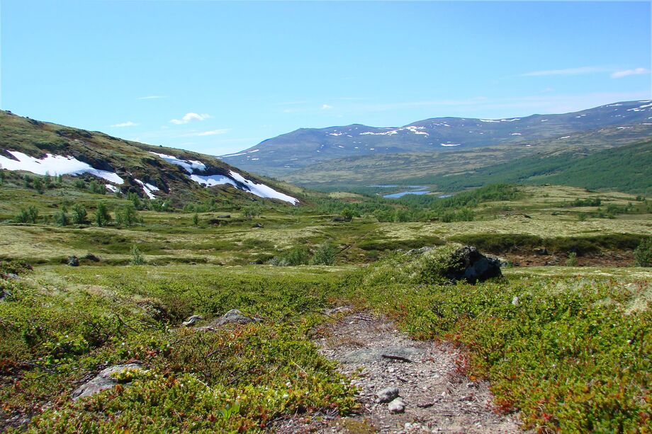 Dyresti i fjellet - Norge - Maria - Reiseguiden