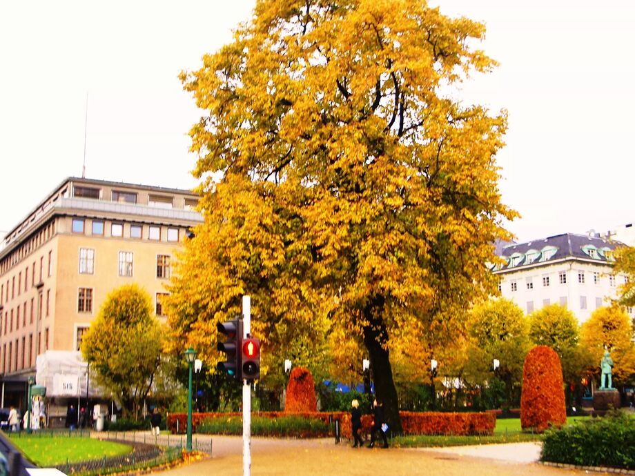 Bergen i høstfarver I - Bergen, Norge - Rave - Reiseguiden