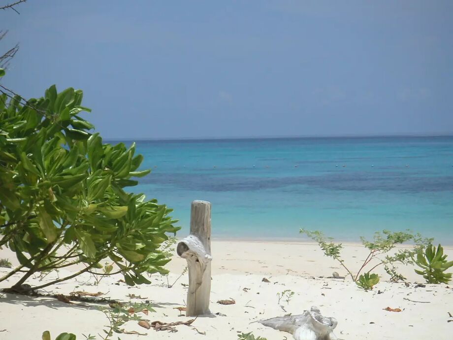 Ko Rok Nok - Krabi, Thailand - Legusta - Reiseguiden